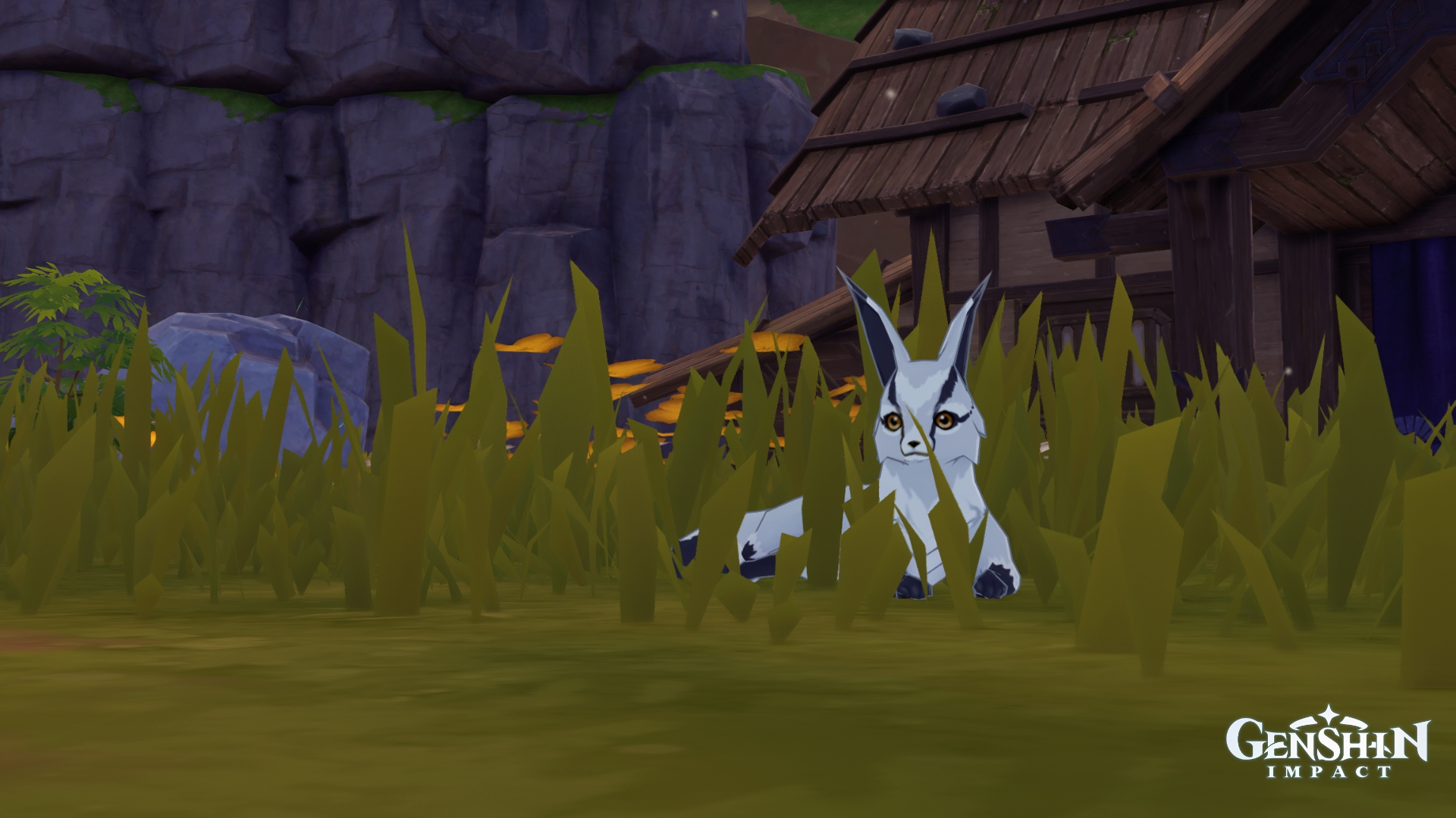 Fox Genshin Impact | HoYoLAB