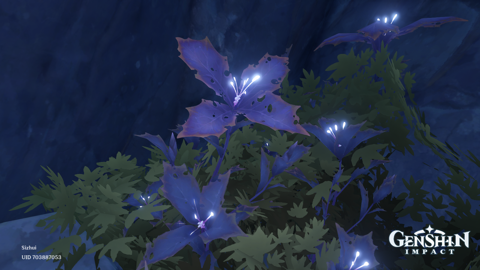 Teyvat flowers Genshin Impact | HoYoLAB