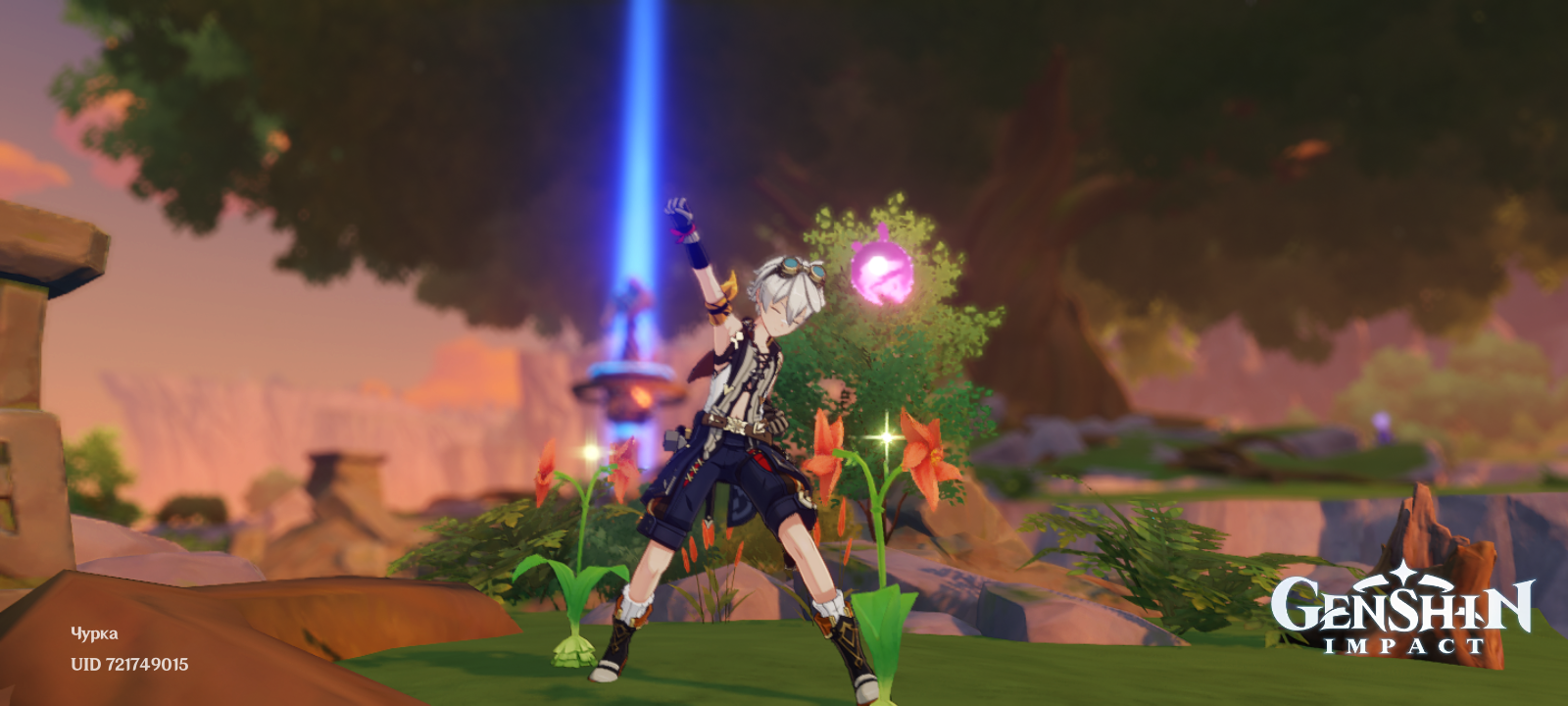 Windwheel Aster Genshin Impact | HoYoLAB