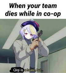 QiQi pro max Genshin Impact | HoYoLAB