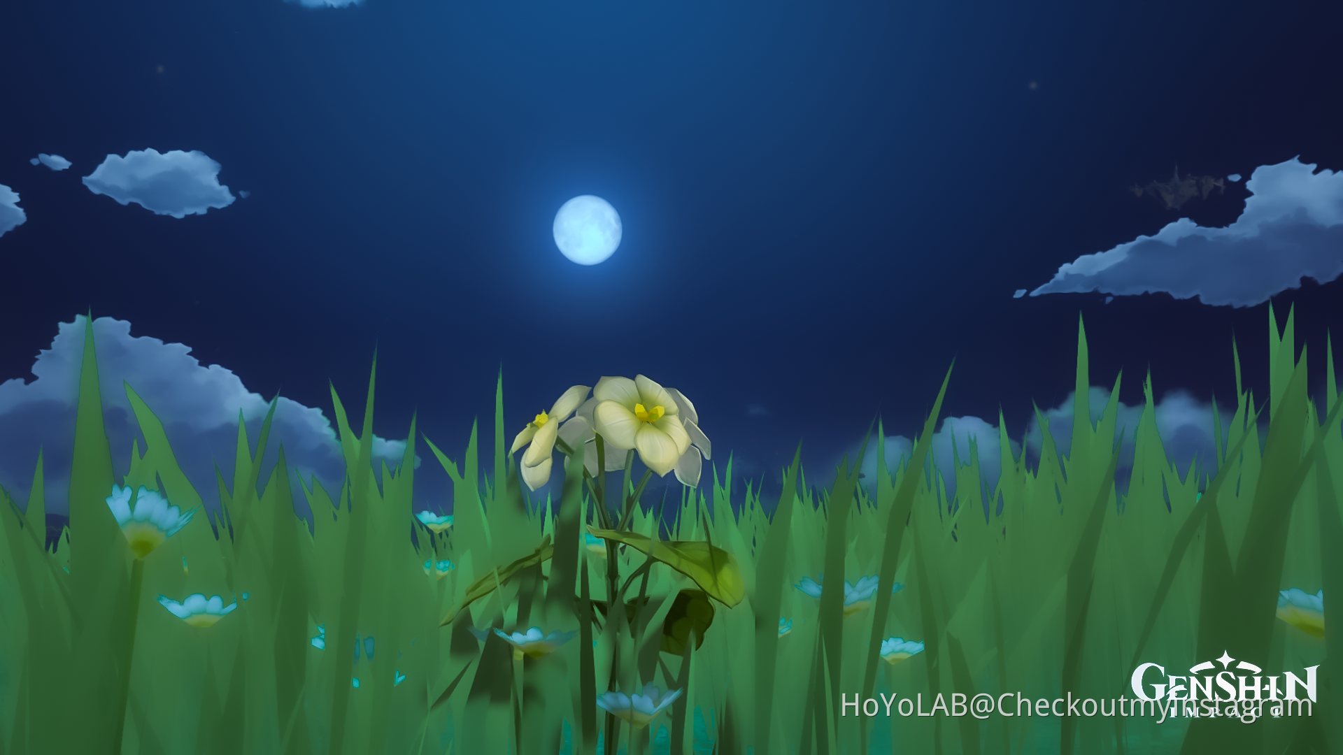 Genshin Impact Regional Specialties (Flowers II) | HoYoLAB