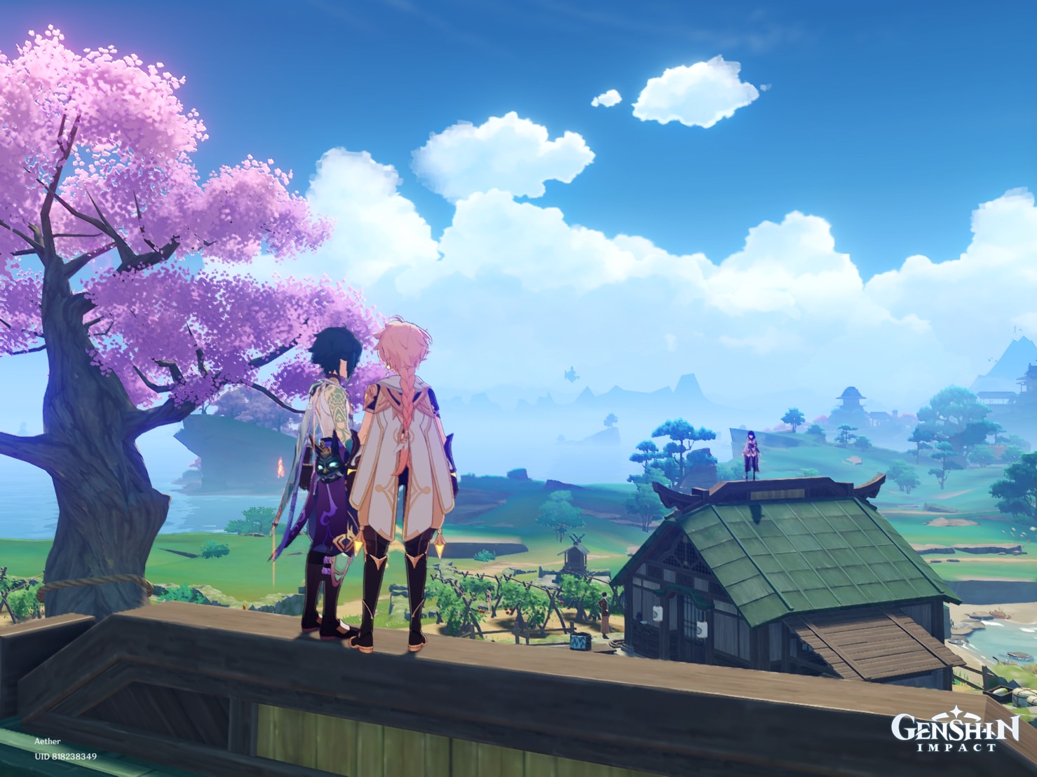 Raiden Shogun is a witness of love Genshin Impact | HoYoLAB