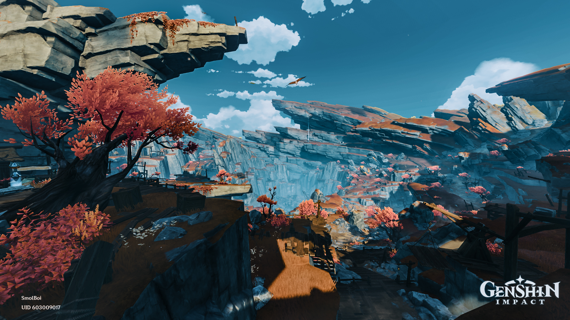 Day 28 of 100: View from The Chasm's Surface: The Chasm Genshin Impact ...