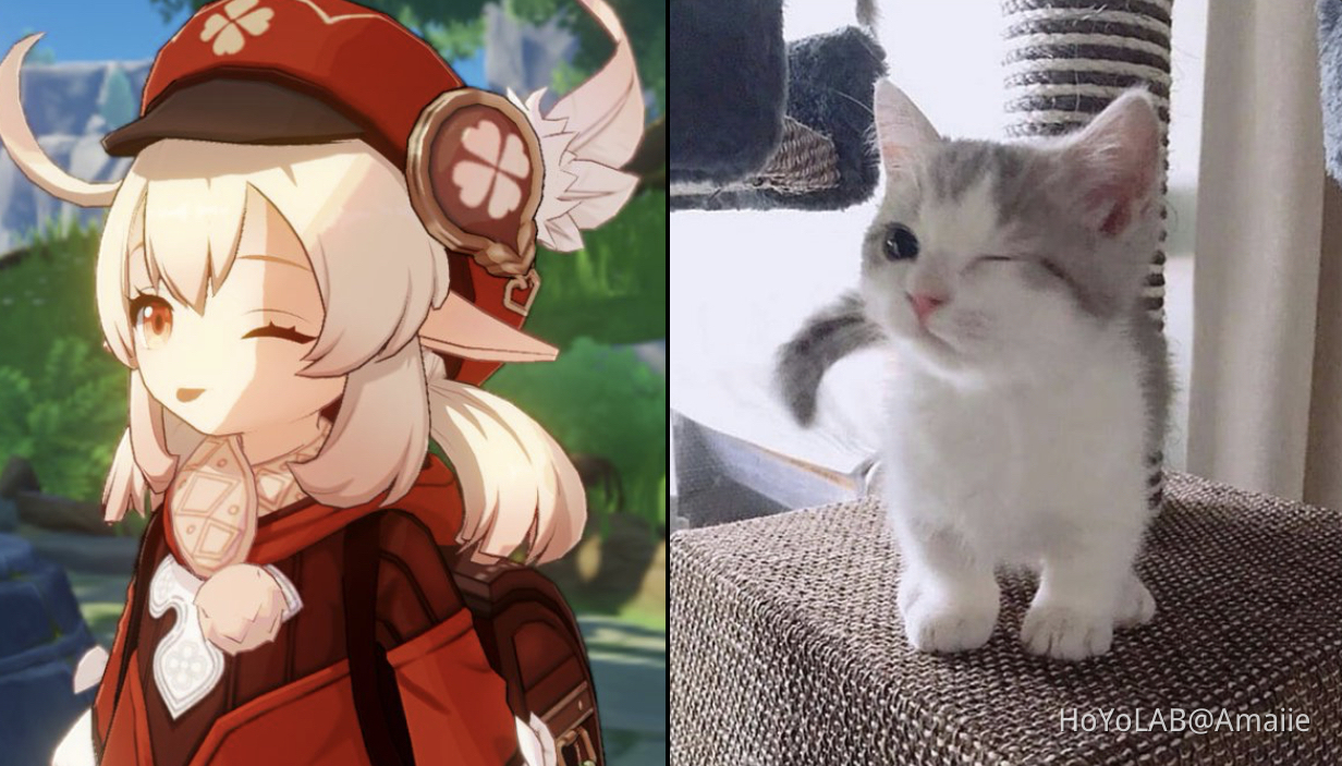 Random genshin memes I saved Genshin Impact | HoYoLAB