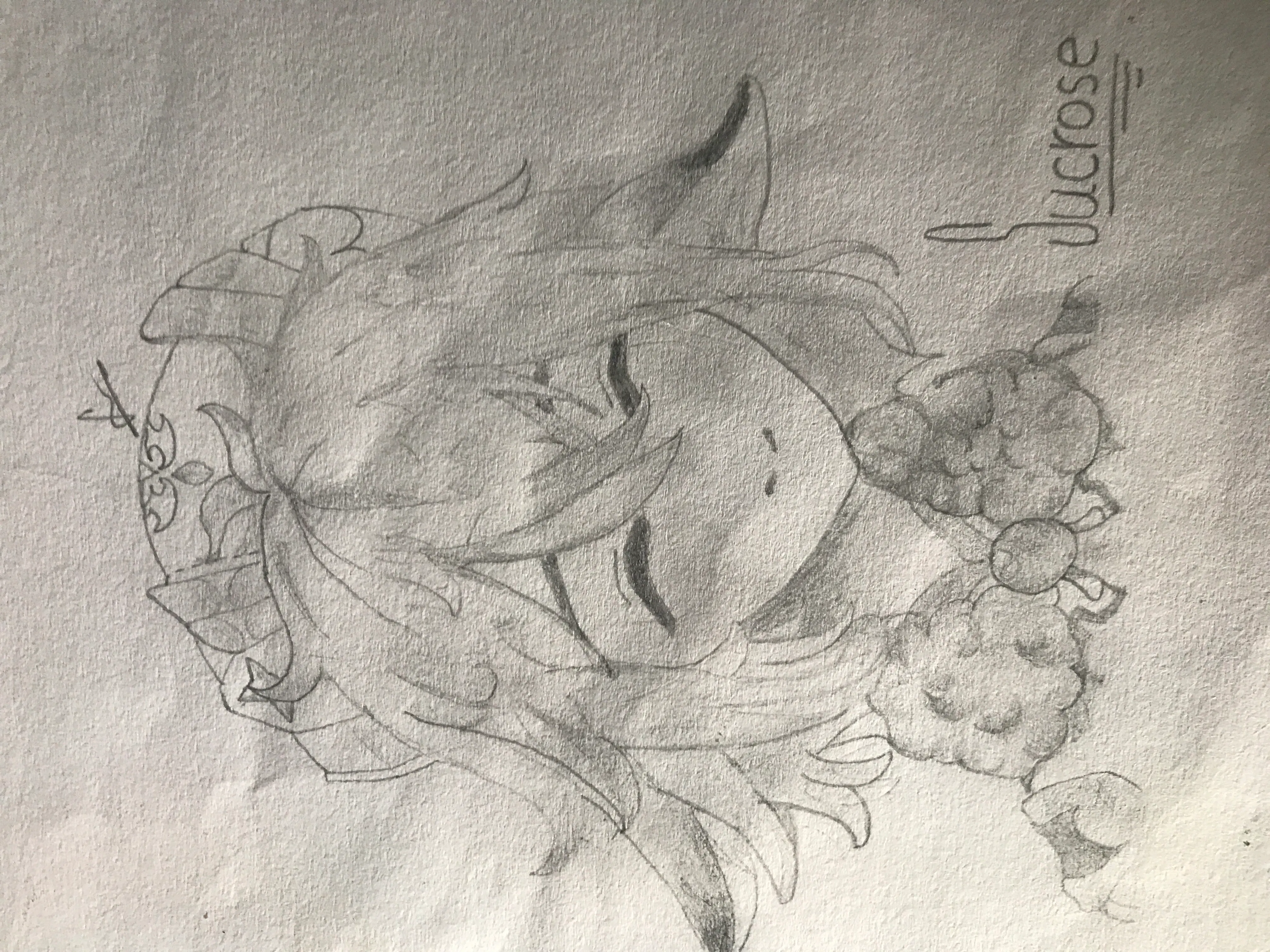 Old Sucrose drawing 💚 Genshin Impact | HoYoLAB