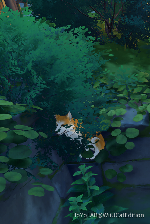 Are you ok doggo? Genshin Impact | HoYoLAB