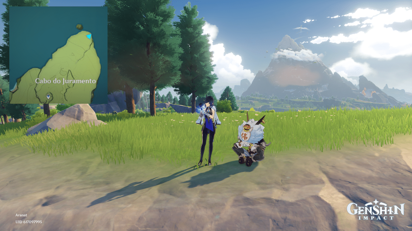 Guia de Todas as Localizações de Hilichurl Estranho | Genshin Impact ...