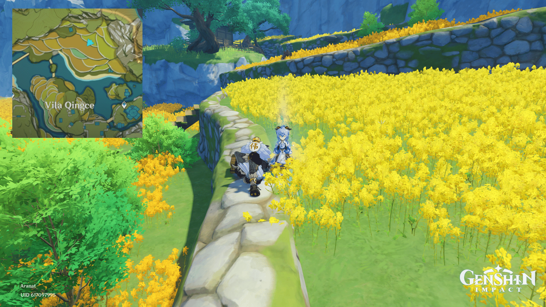 Guia de Todas as Localizações de Hilichurl Estranho Genshin Impact ...