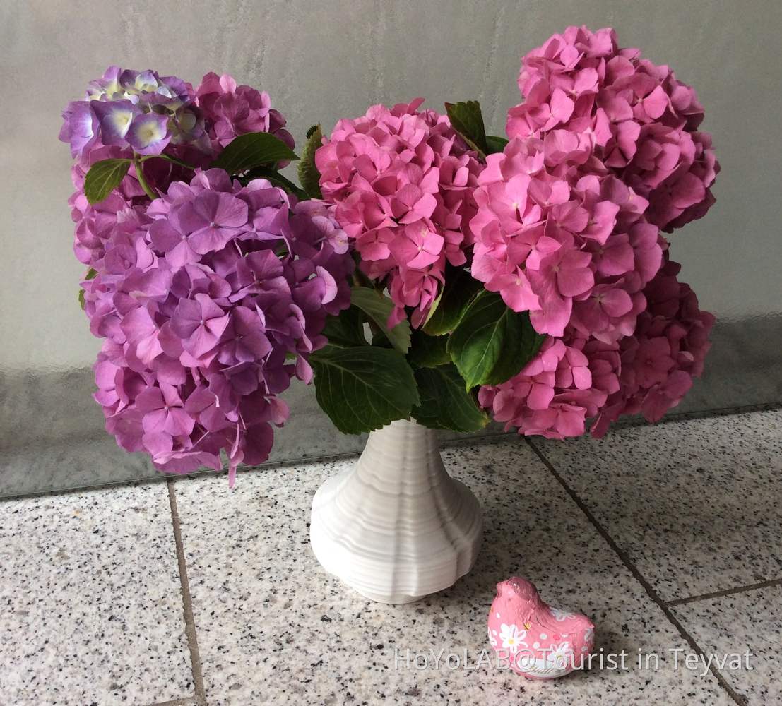 Who is wearing this flower? Meaning of Balloon Flower 桔梗 Kikyō Genshin ...