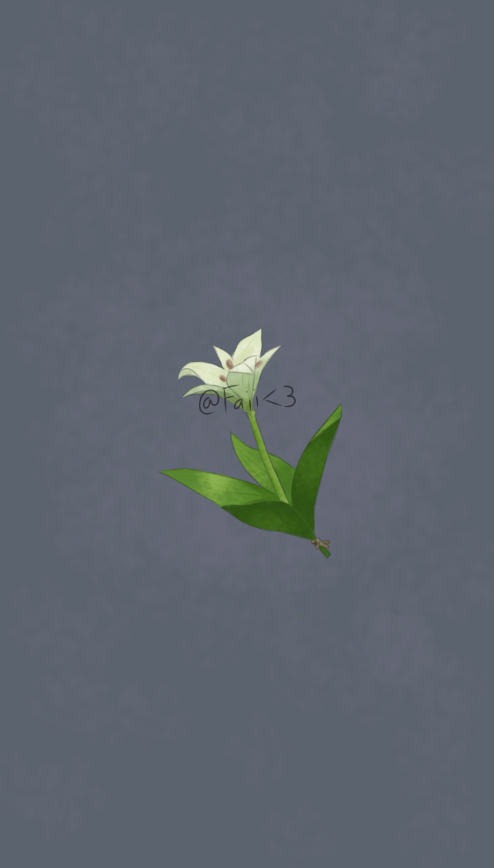 Cecilia flower Genshin Impact | HoYoLAB