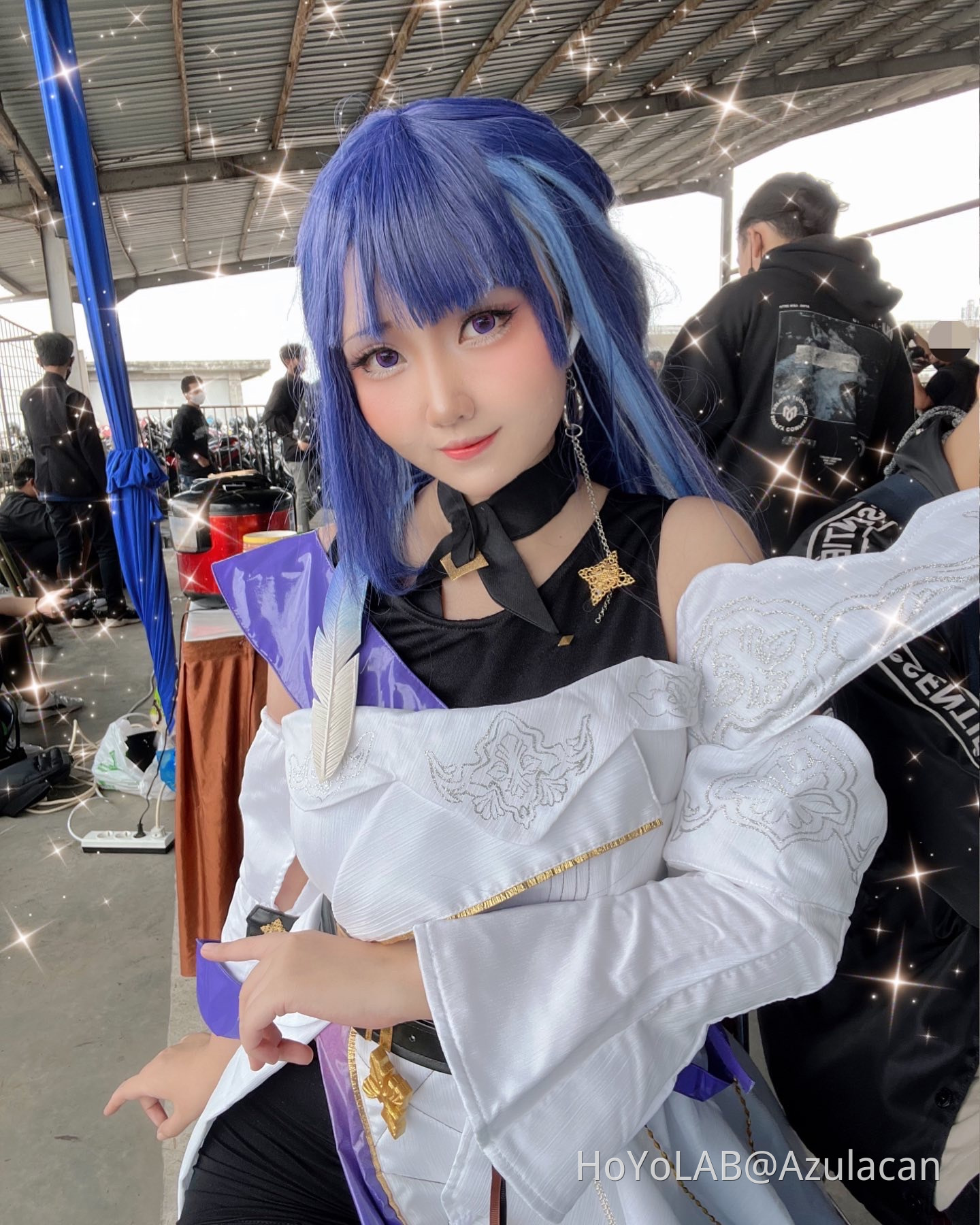 Raiden Mei - APHO | Honkai Impact 3rd | HoYoLAB