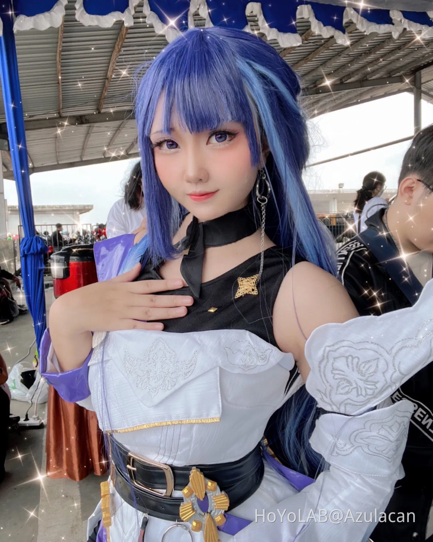 Raiden Mei - APHO Honkai Impact 3rd | HoYoLAB