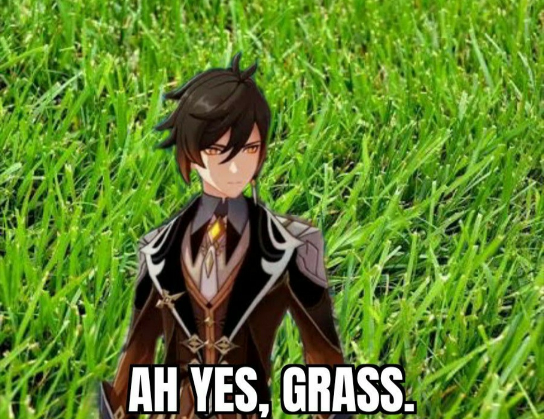 Grass. Genshin Impact | HoYoLAB