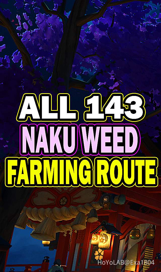 All 143 Naku Weed Farming Route (Video + Screenshot) Genshin Impact ...