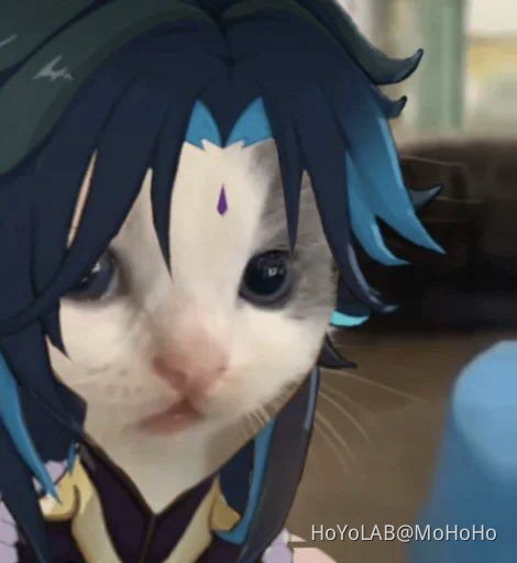 This is MoHoHo ^^ Genshin Impact | HoYoLAB