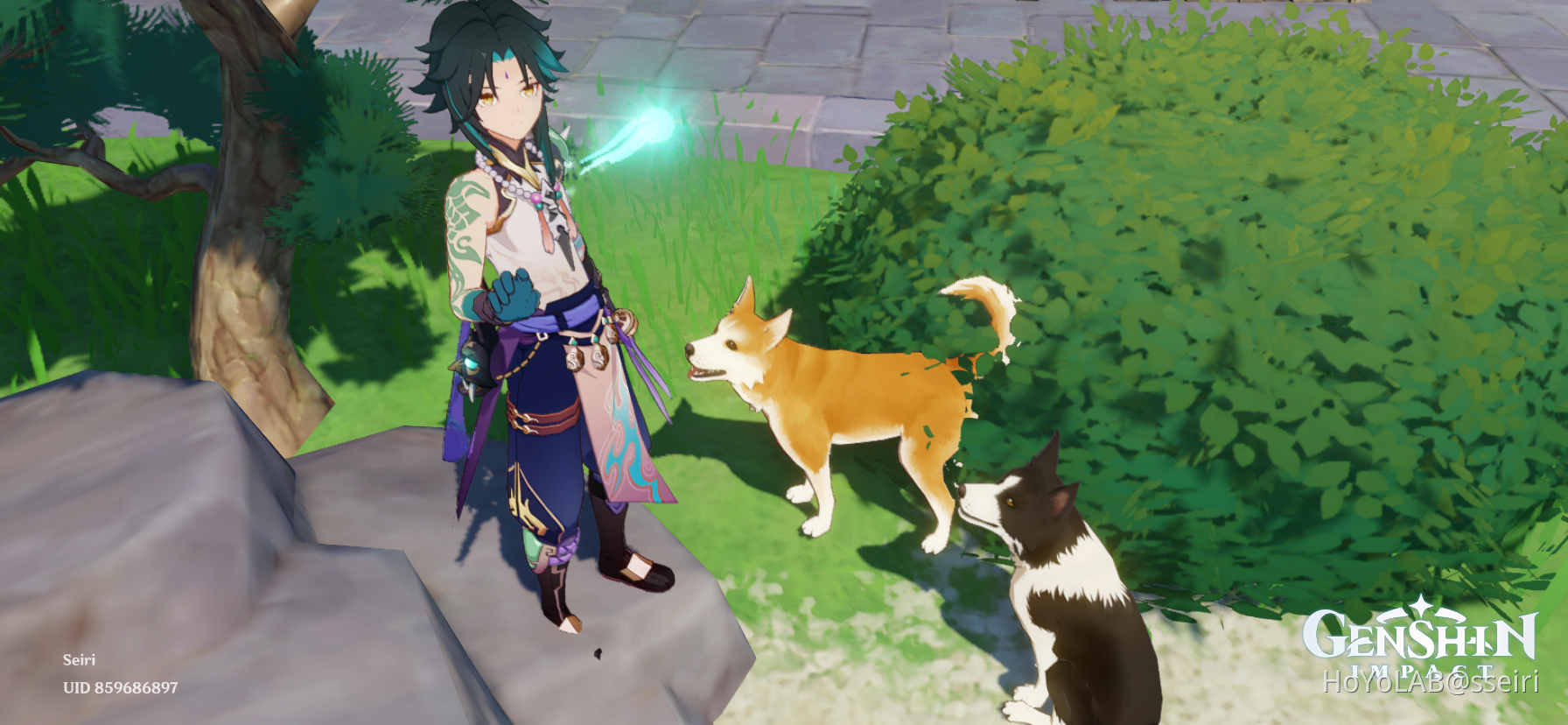 Xiao & his pets Genshin Impact | HoYoLAB