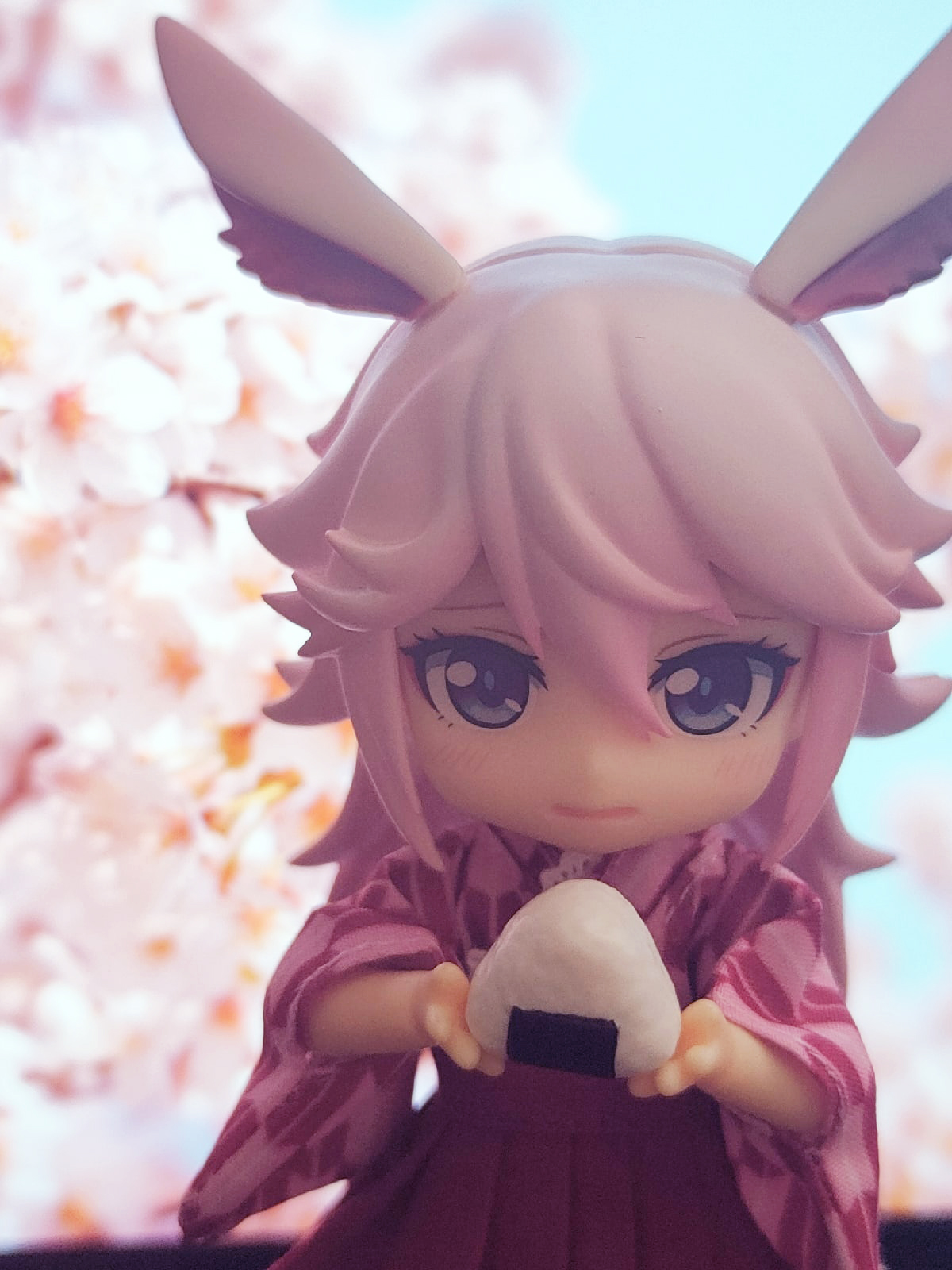 Happy Birthday, Sakura! 🌸 Honkai Impact 3rd | HoYoLAB
