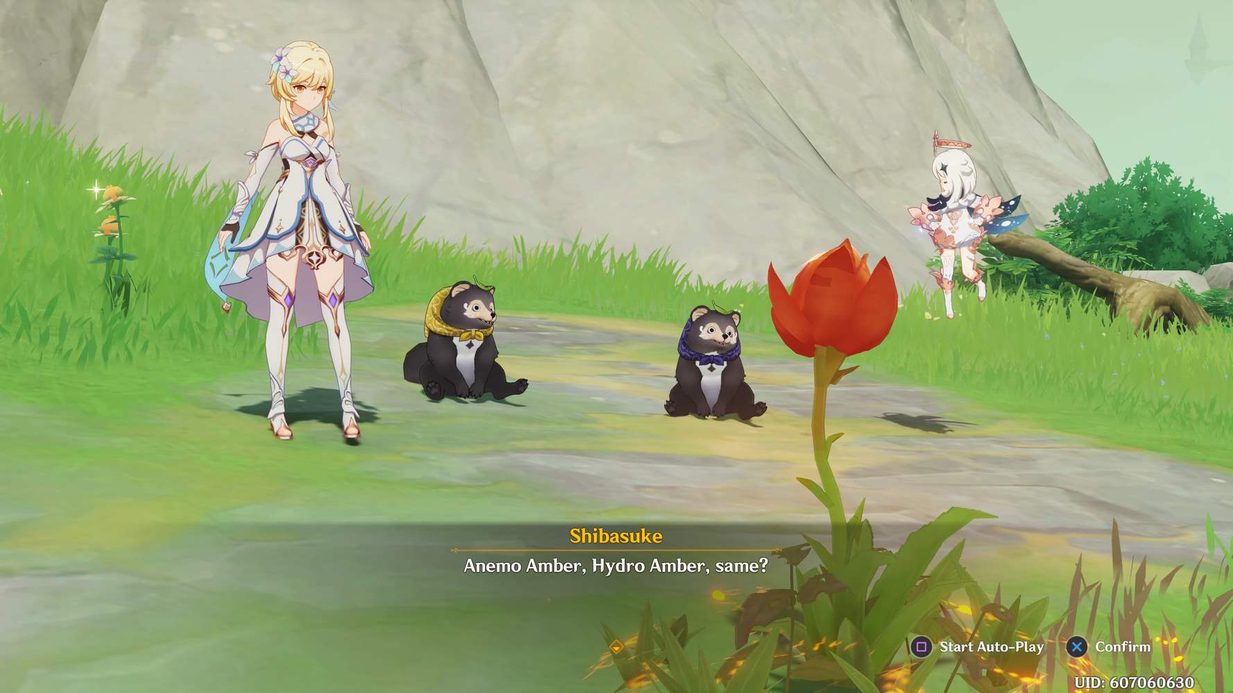 Puzzle Solving with Amber Genshin Impact | HoYoLAB