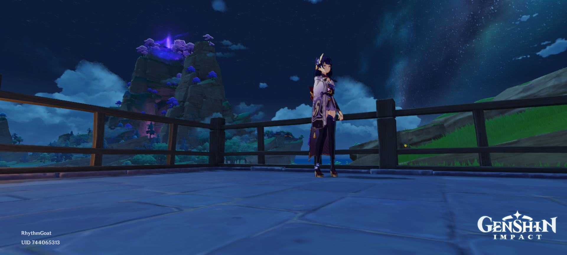 Raiden Shogun Genshin Impact | HoYoLAB