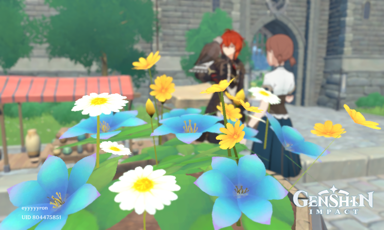 Beautiful Flowers! nothing else🤭 Genshin Impact | HoYoLAB