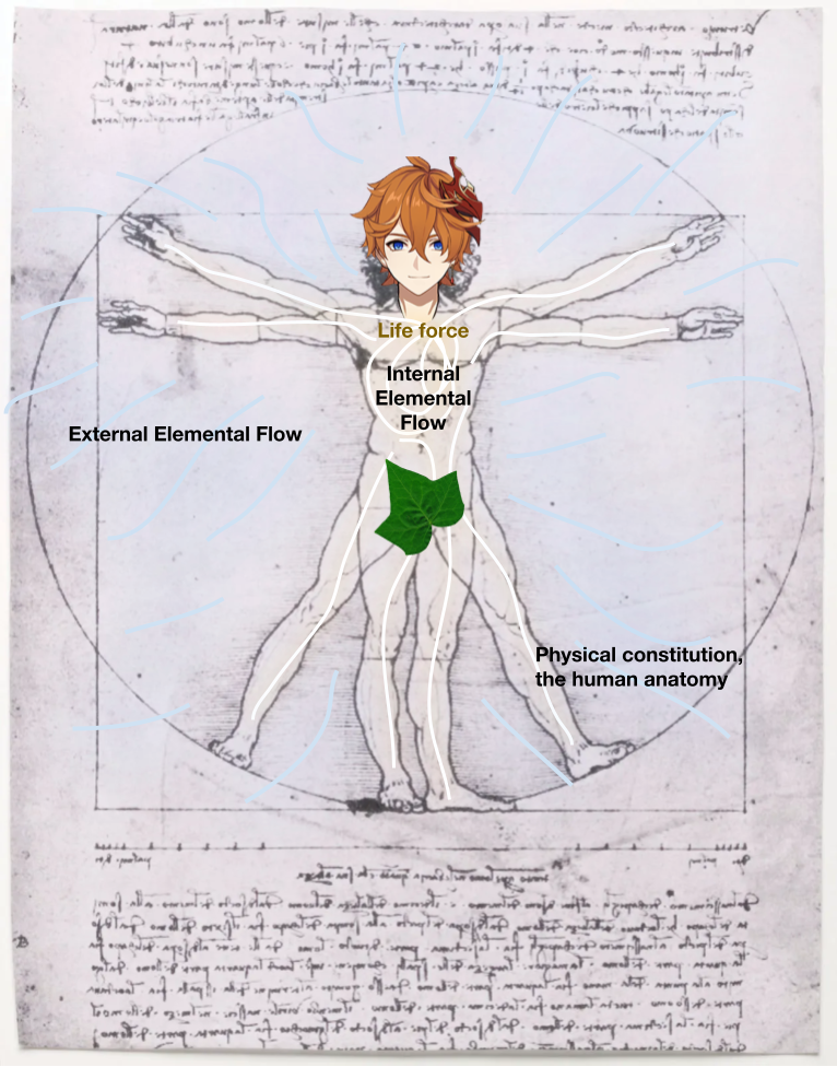 A Speculation on Albedo's View of the Human Composition in Teyvat ...