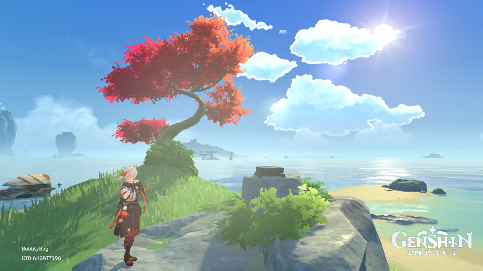 The maple bathes in sunshine while the wanderer spreads a tune in the ...