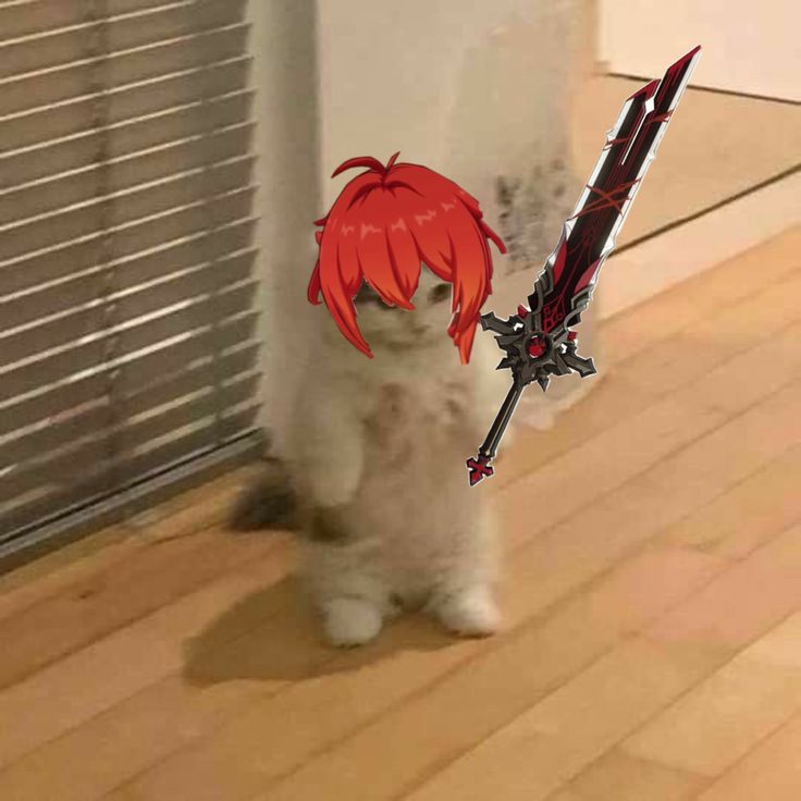 UWUWUWUWU my favorite cat Genshin Impact | HoYoLAB