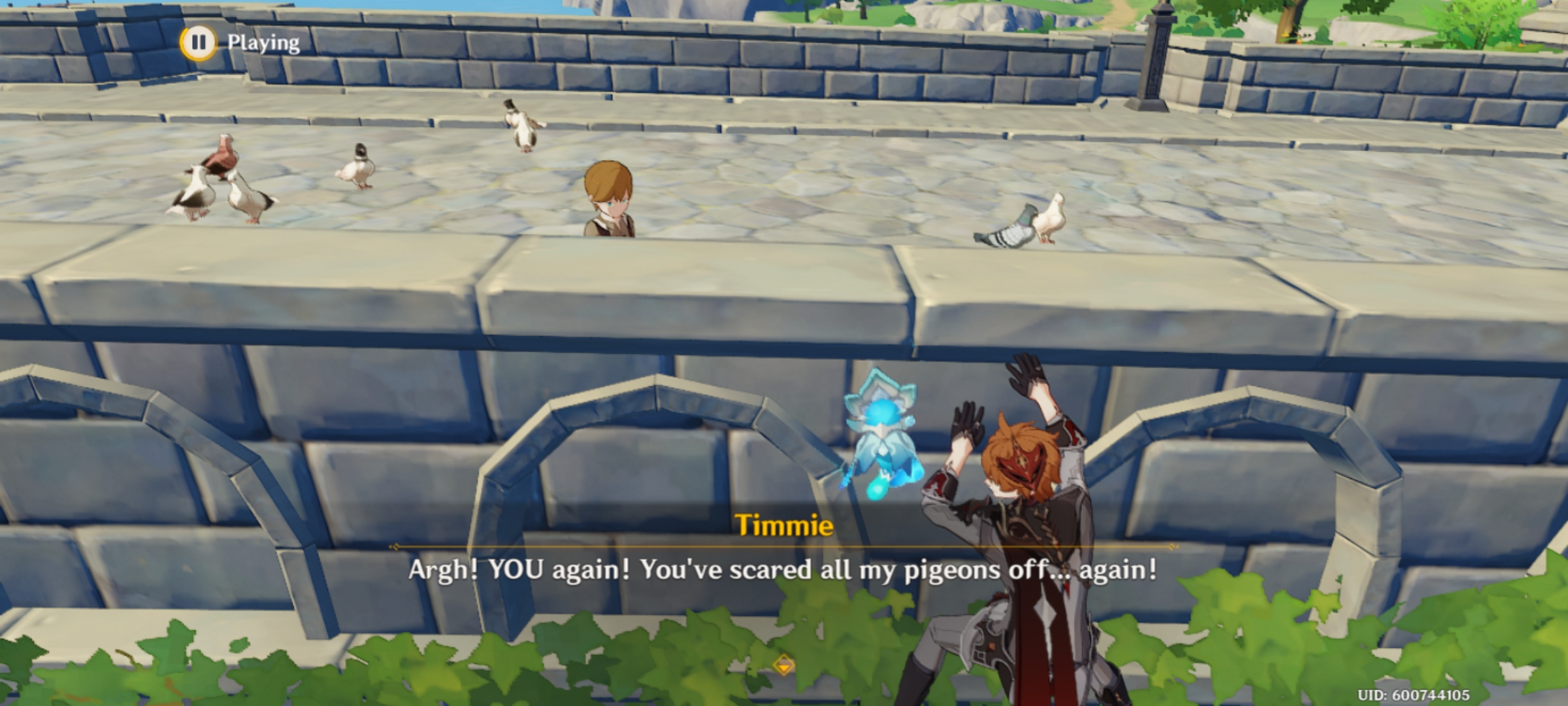 Timmy's birds Genshin Impact | HoYoLAB