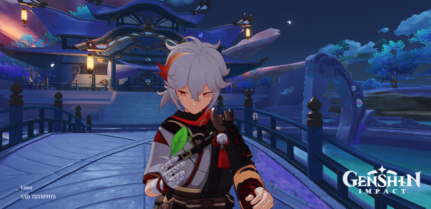 secondo giorno facendo puzzle ad inazuma Genshin Impact | HoYoLAB