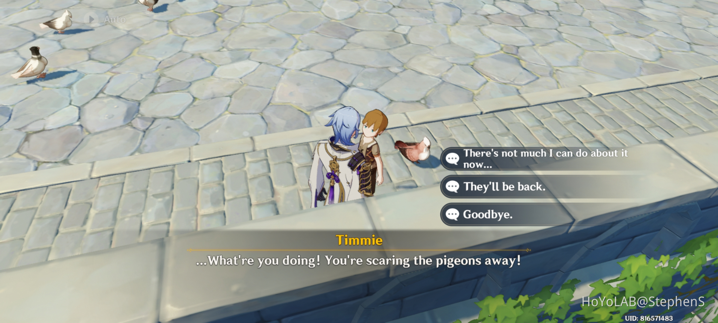 I did not scare the pigeons, Timmie! Genshin Impact | HoYoLAB