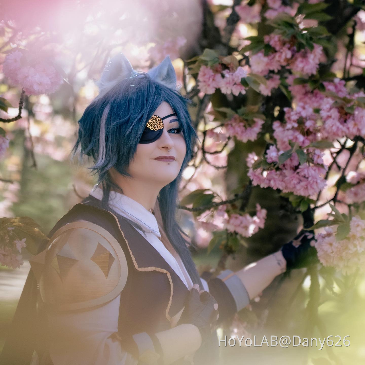 Cat Kaeya Genshin Impact | HoYoLAB