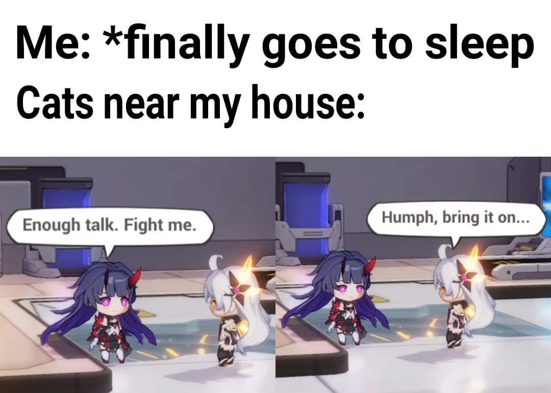 Honkai Daily Meme Honkai Impact 3rd | HoYoLAB