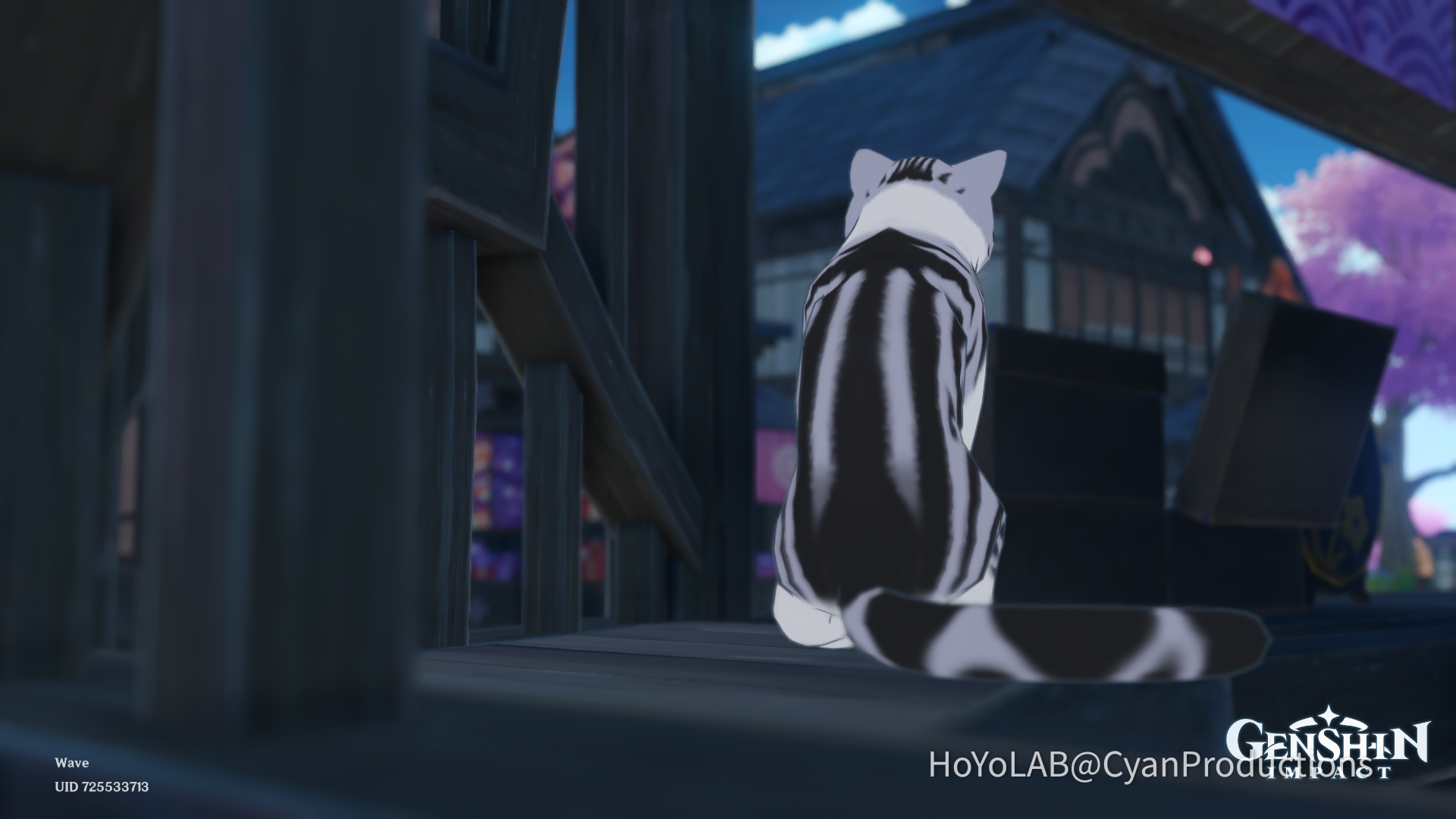 Cats of Inazuma City Genshin Impact | HoYoLAB