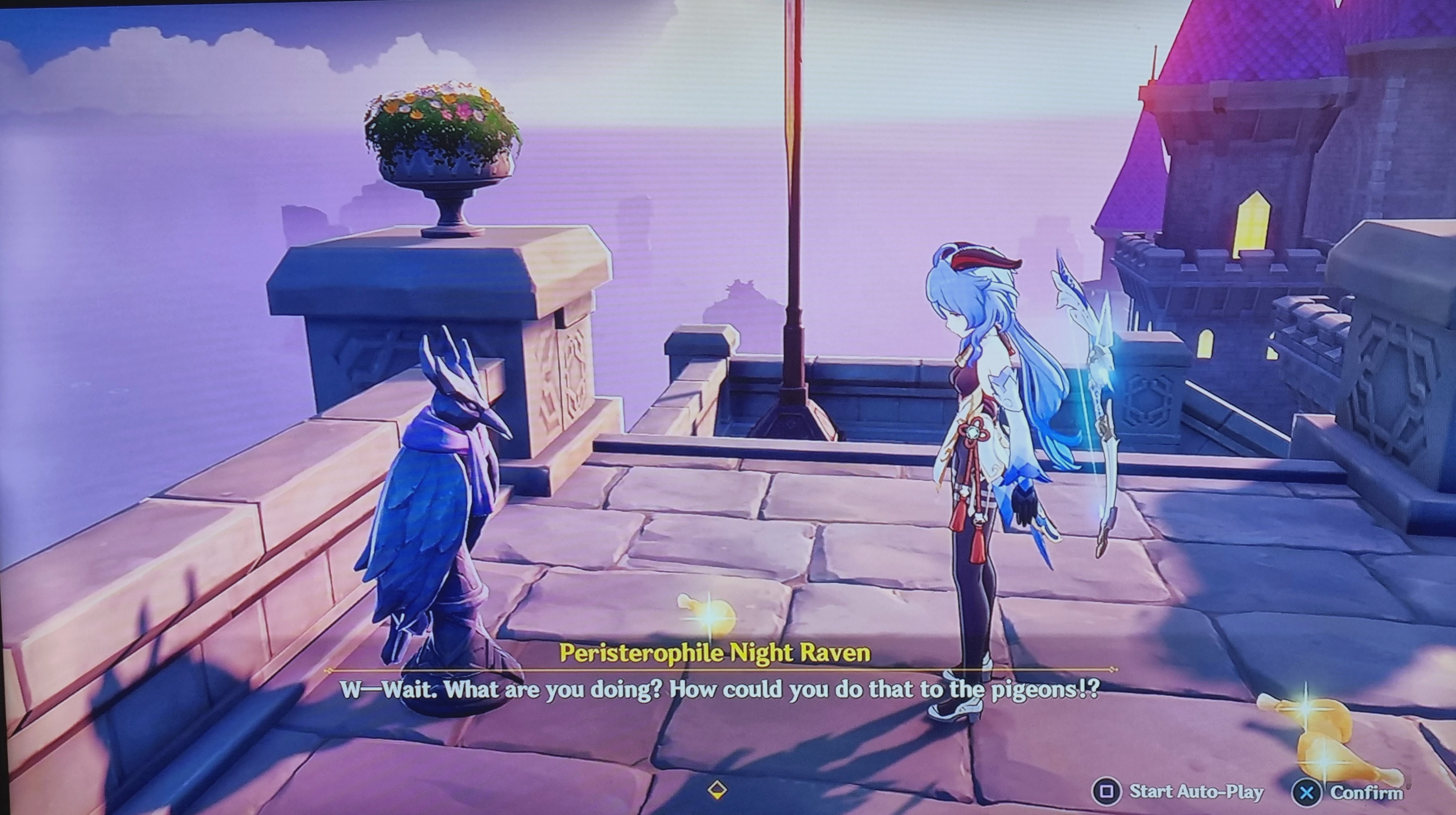 Raven Timmie? Genshin Impact | HoYoLAB