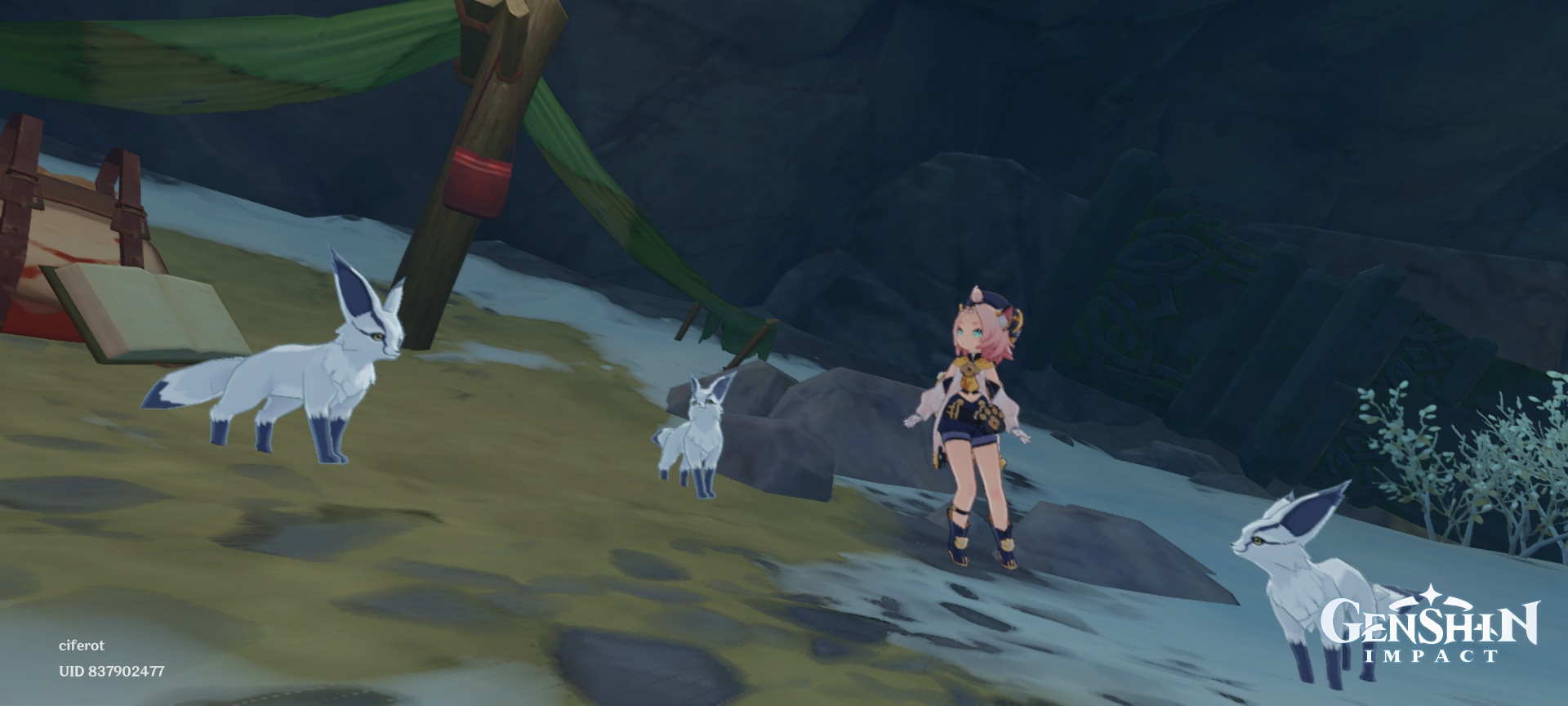 Say Hi! to my Snow Fox Familiar Genshin Impact | HoYoLAB