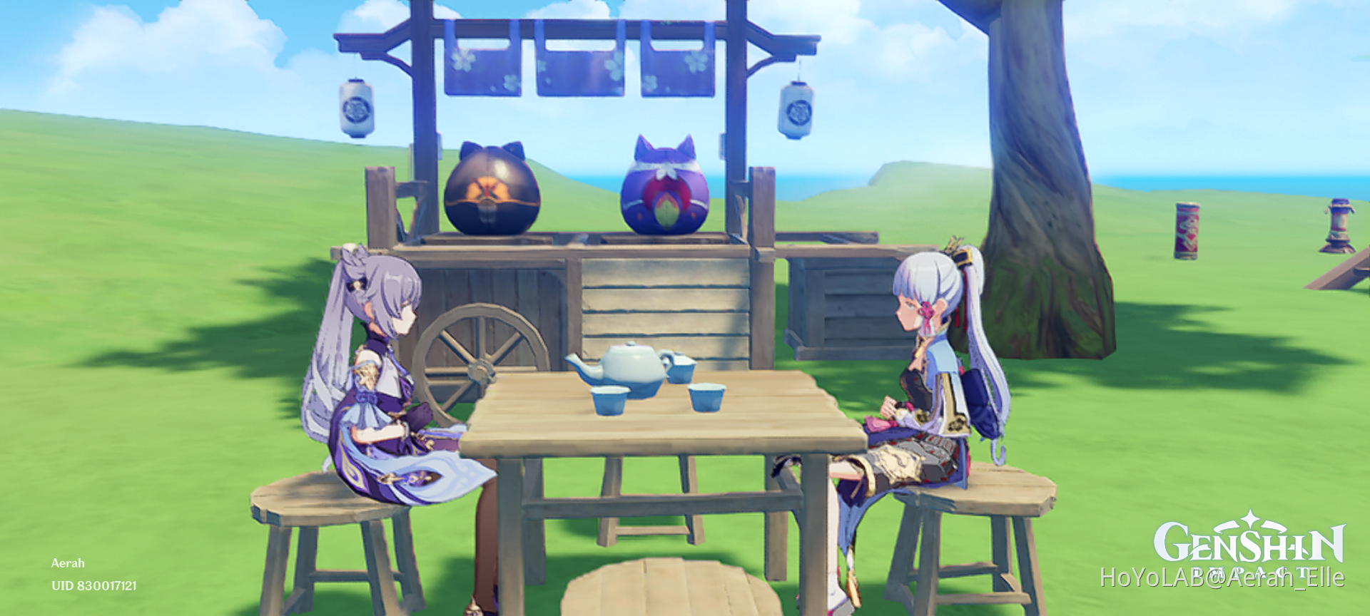 KEQING & AYAKA OVER AETHER Genshin Impact | HoYoLAB