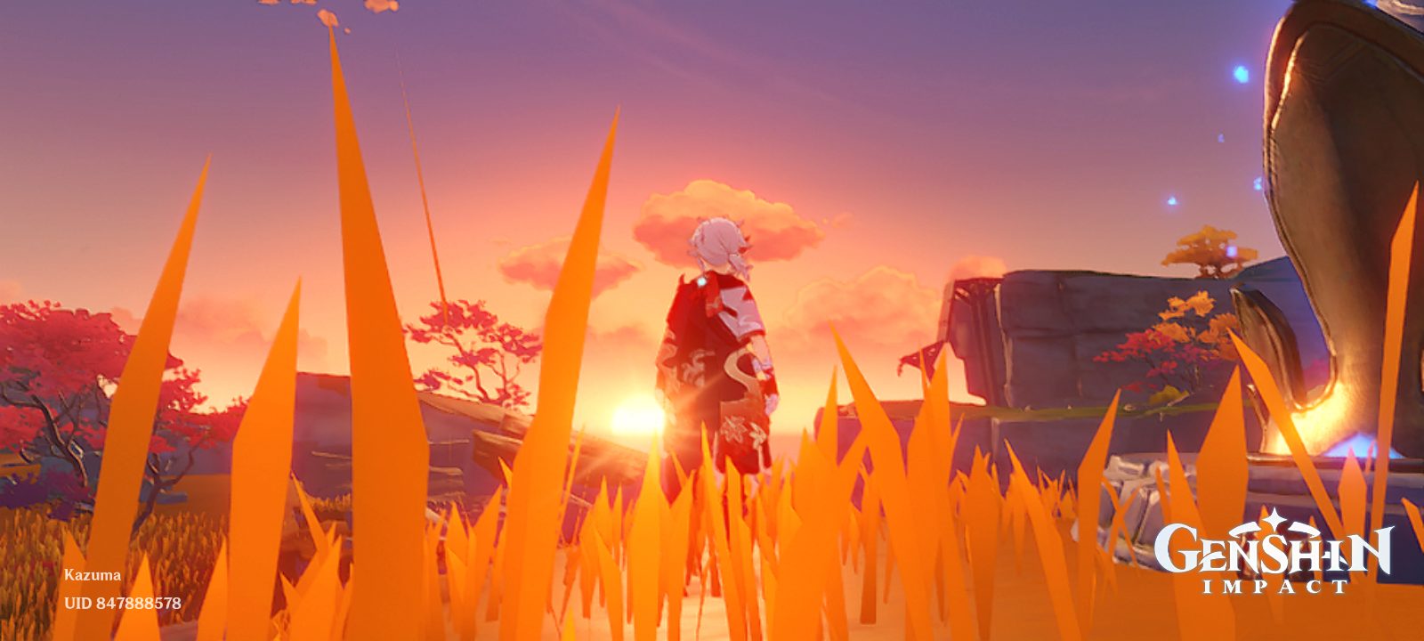 Kamera waiting for Sumeru Genshin Impact | HoYoLAB