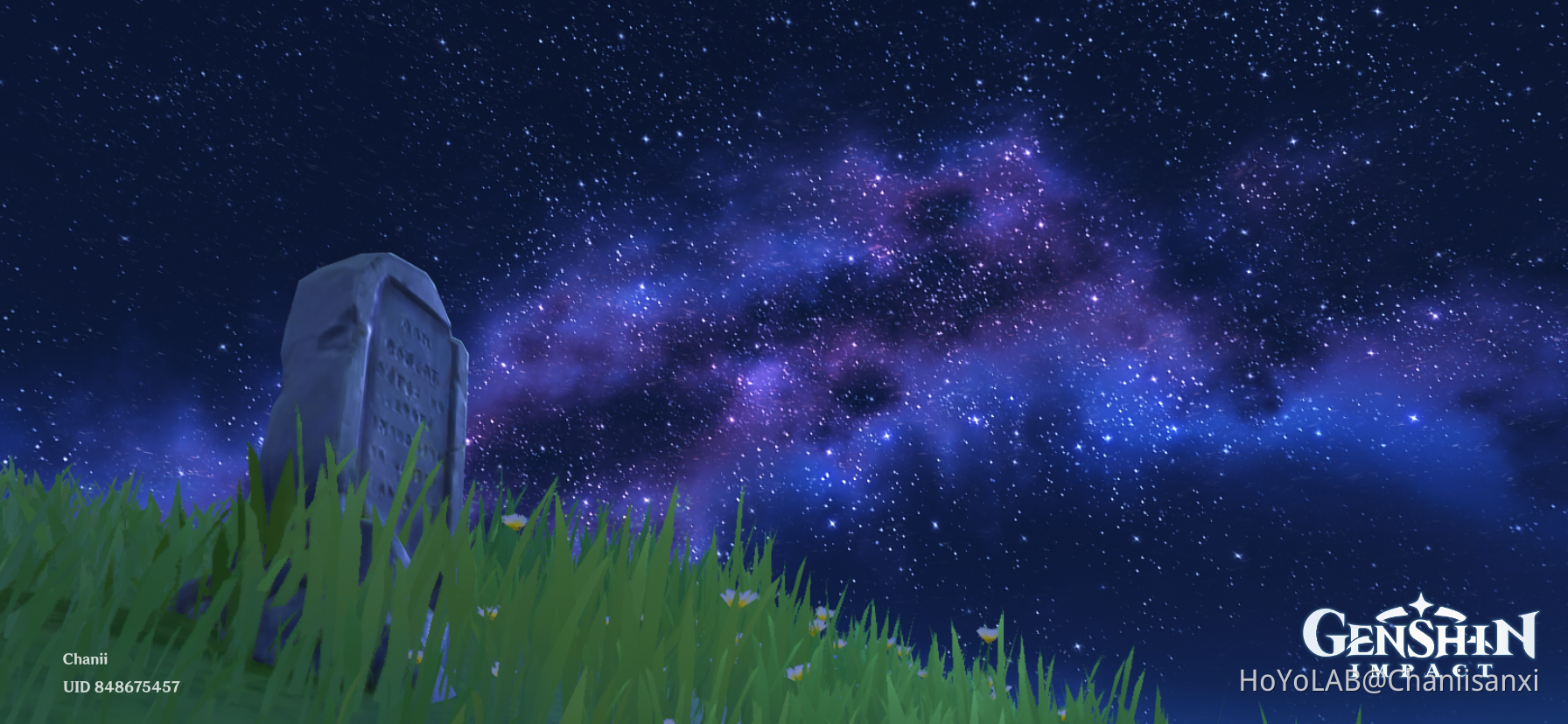 Visiting Dilucs DEAD father Genshin Impact | HoYoLAB