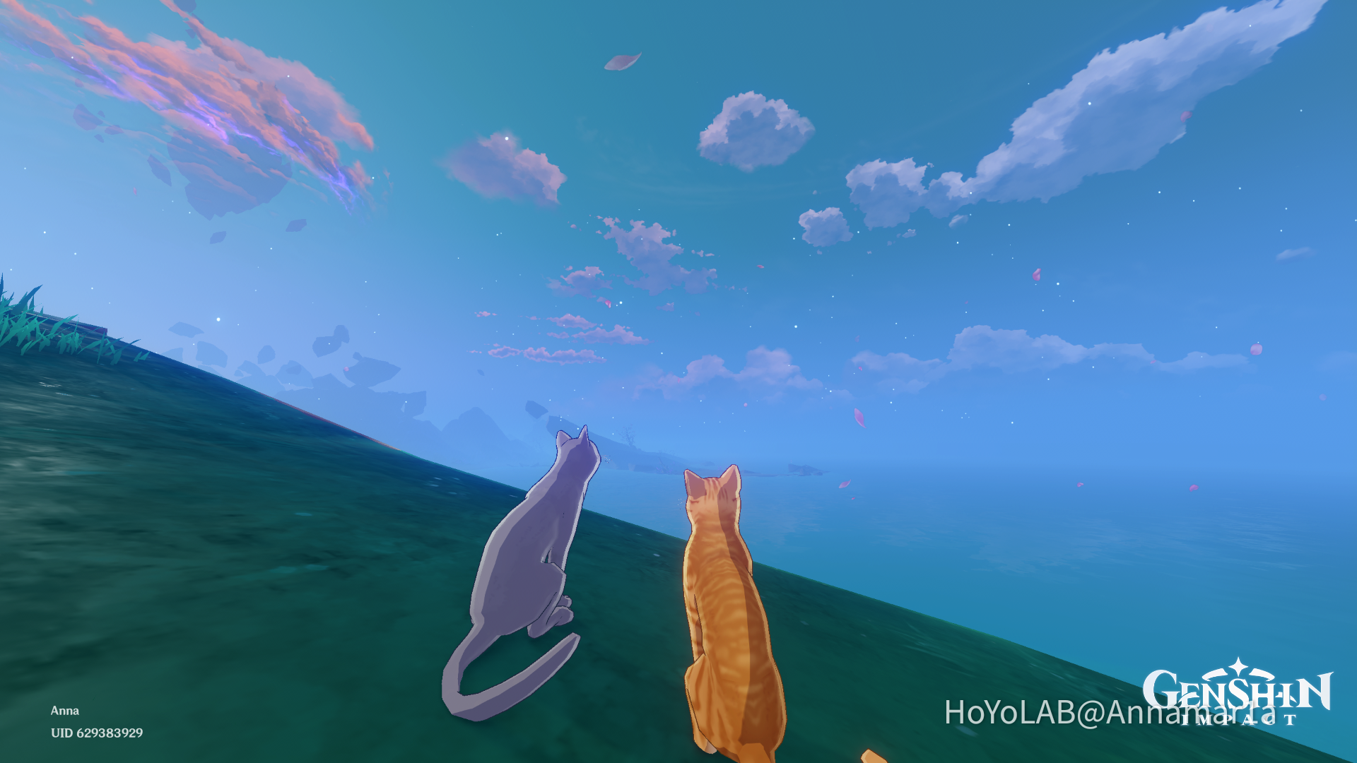 Cats~! Genshin Impact | HoYoLAB