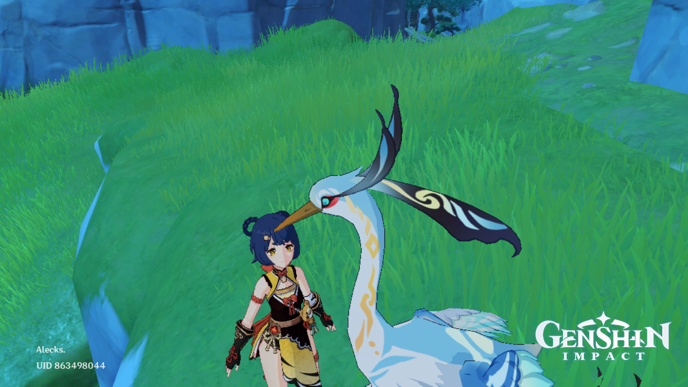 Bird be looking tasty Genshin Impact | HoYoLAB