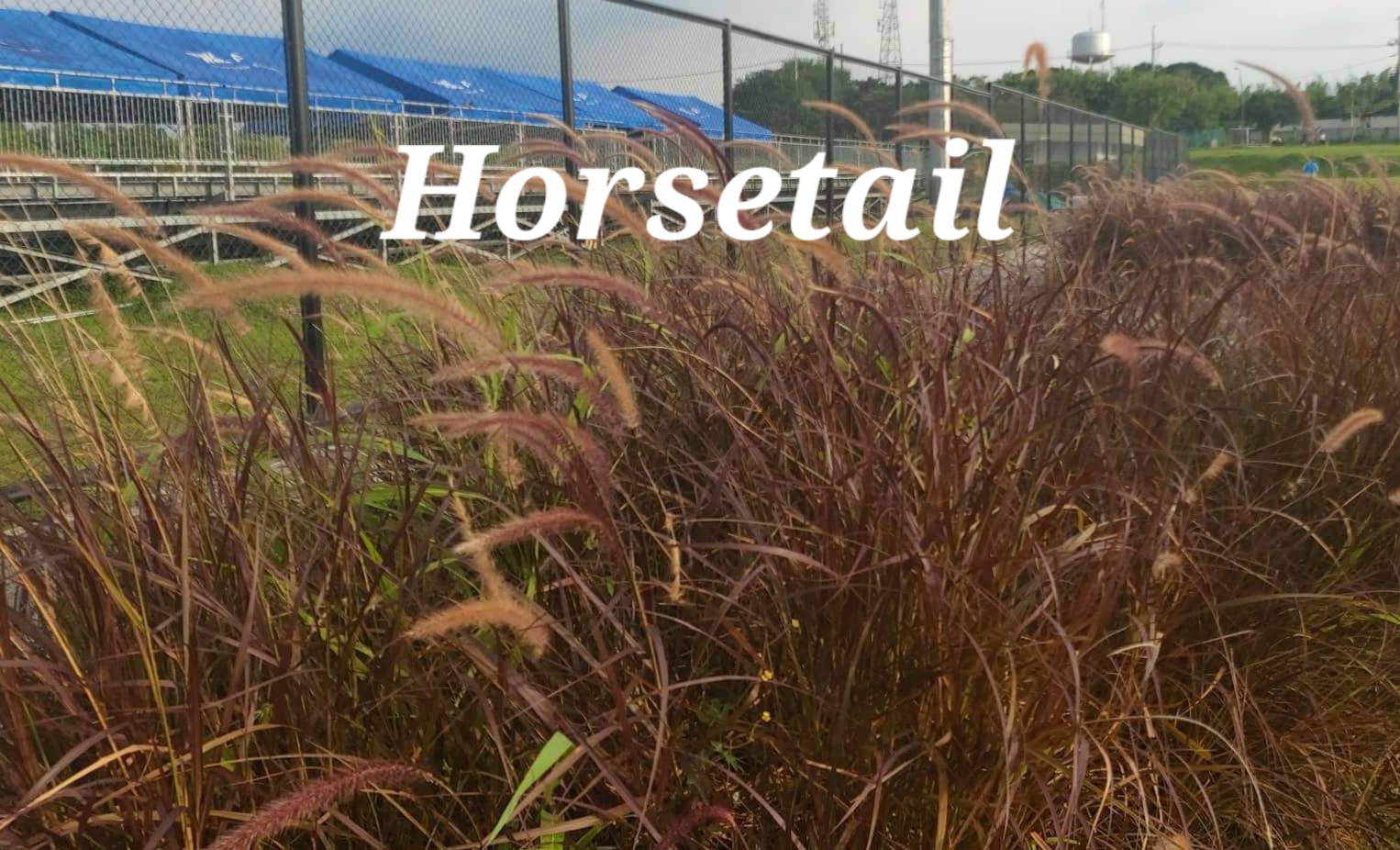 Genshin irl materials Genshin Impact | HoYoLAB