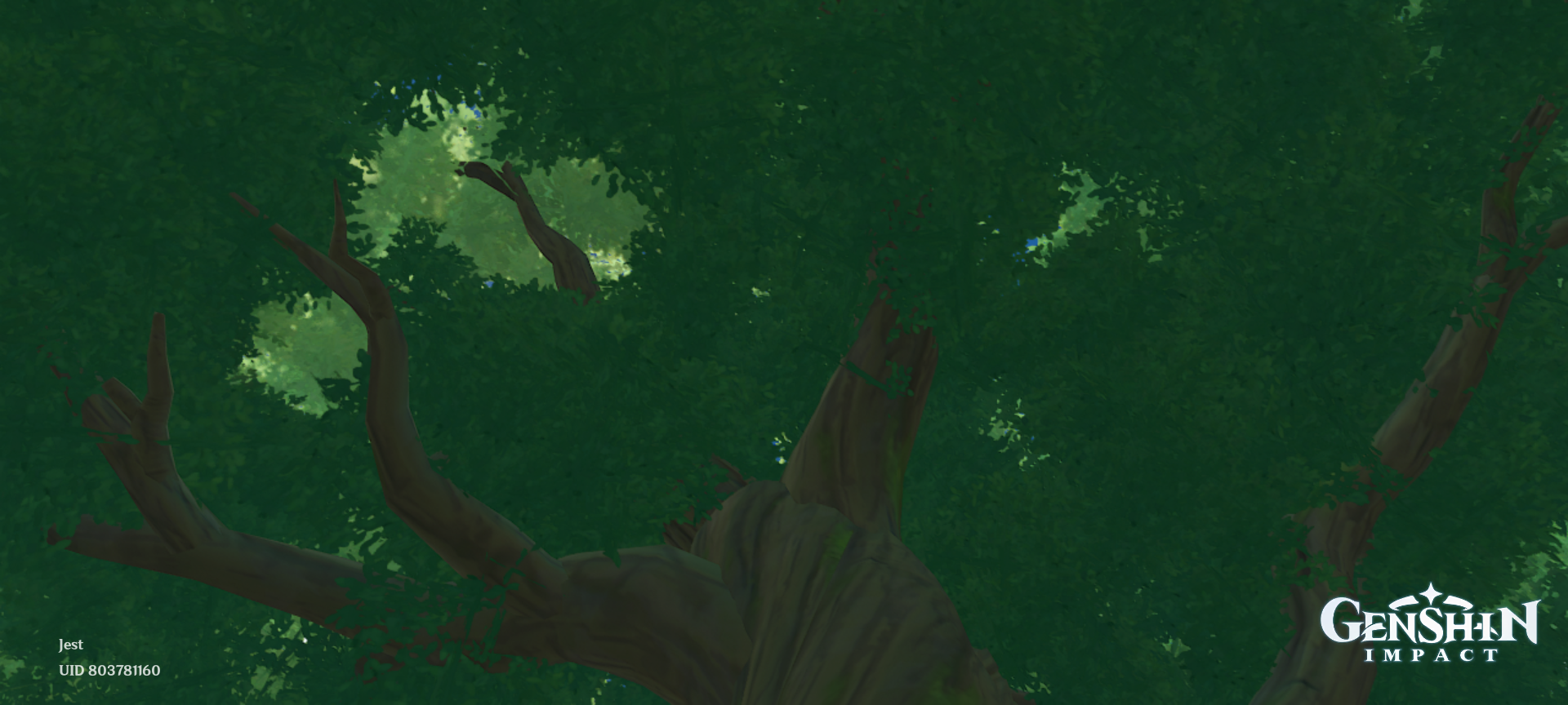 Bestest tree of Mondstadt Genshin Impact | HoYoLAB