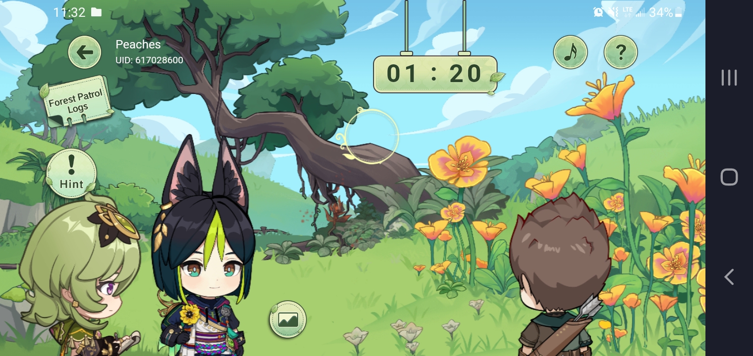 Bird Anomaly Genshin Impact | HoYoLAB