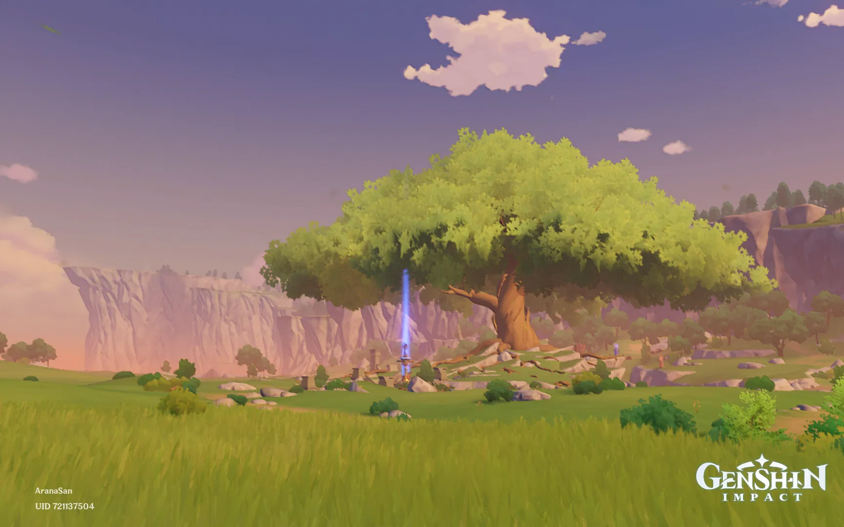 The big tree at Windrise! Genshin Impact | HoYoLAB