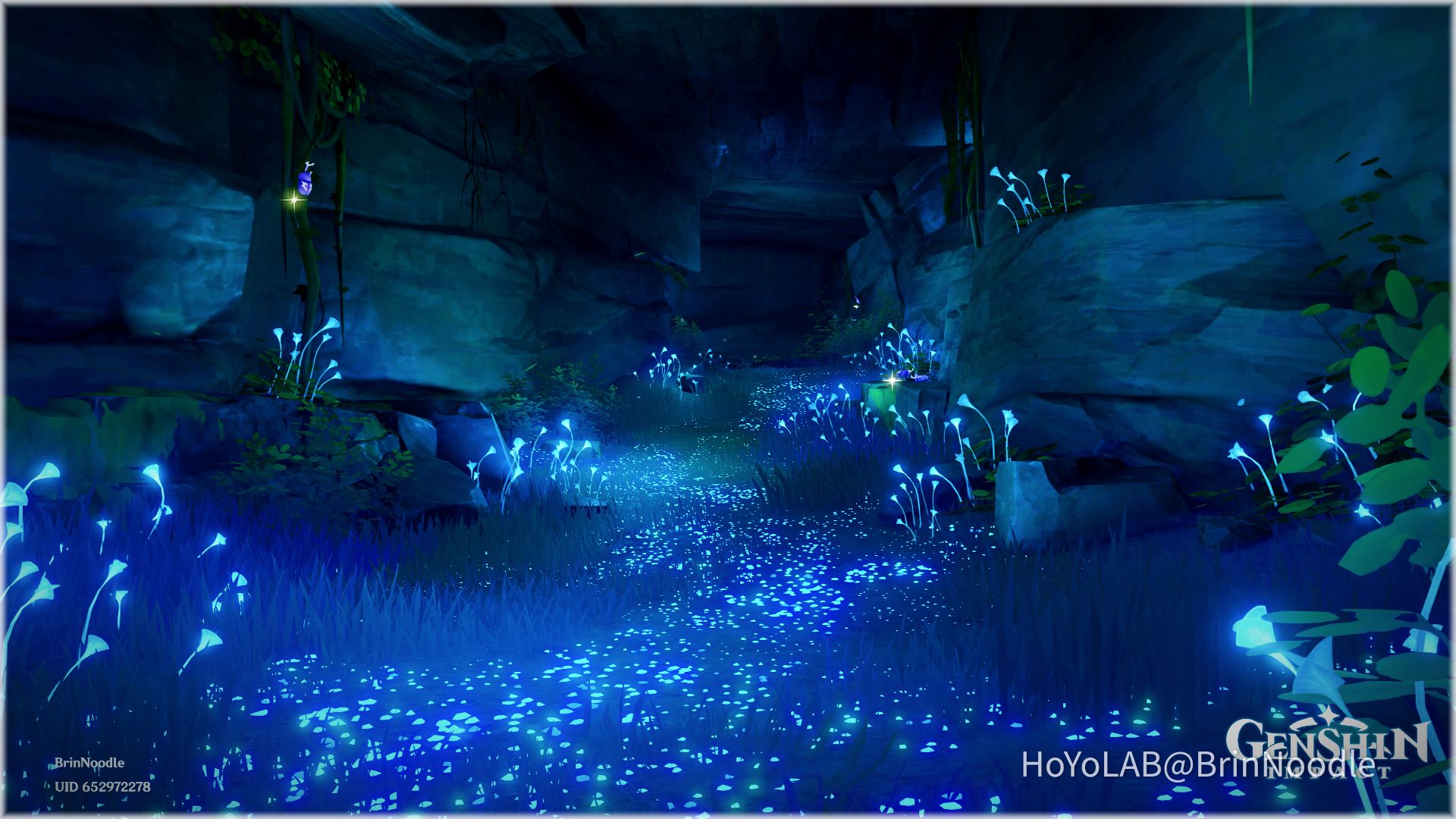 Photography of Teyvat - Inazuma "Cave of Blue Lit Mysteries" Genshin ...