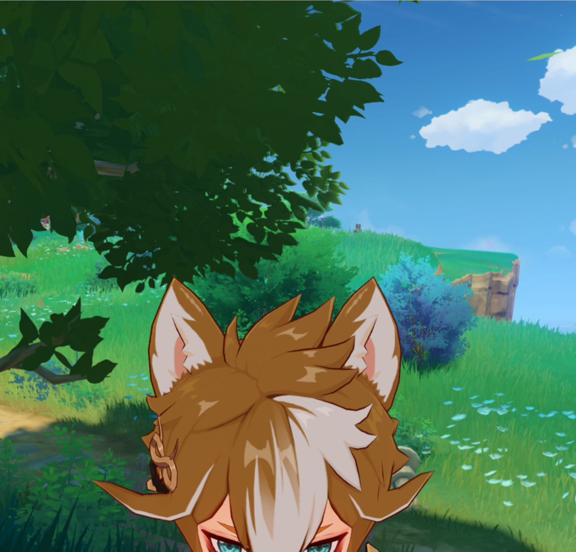 You may pat General Gorous floof but only, EXACTLY 5 times ...