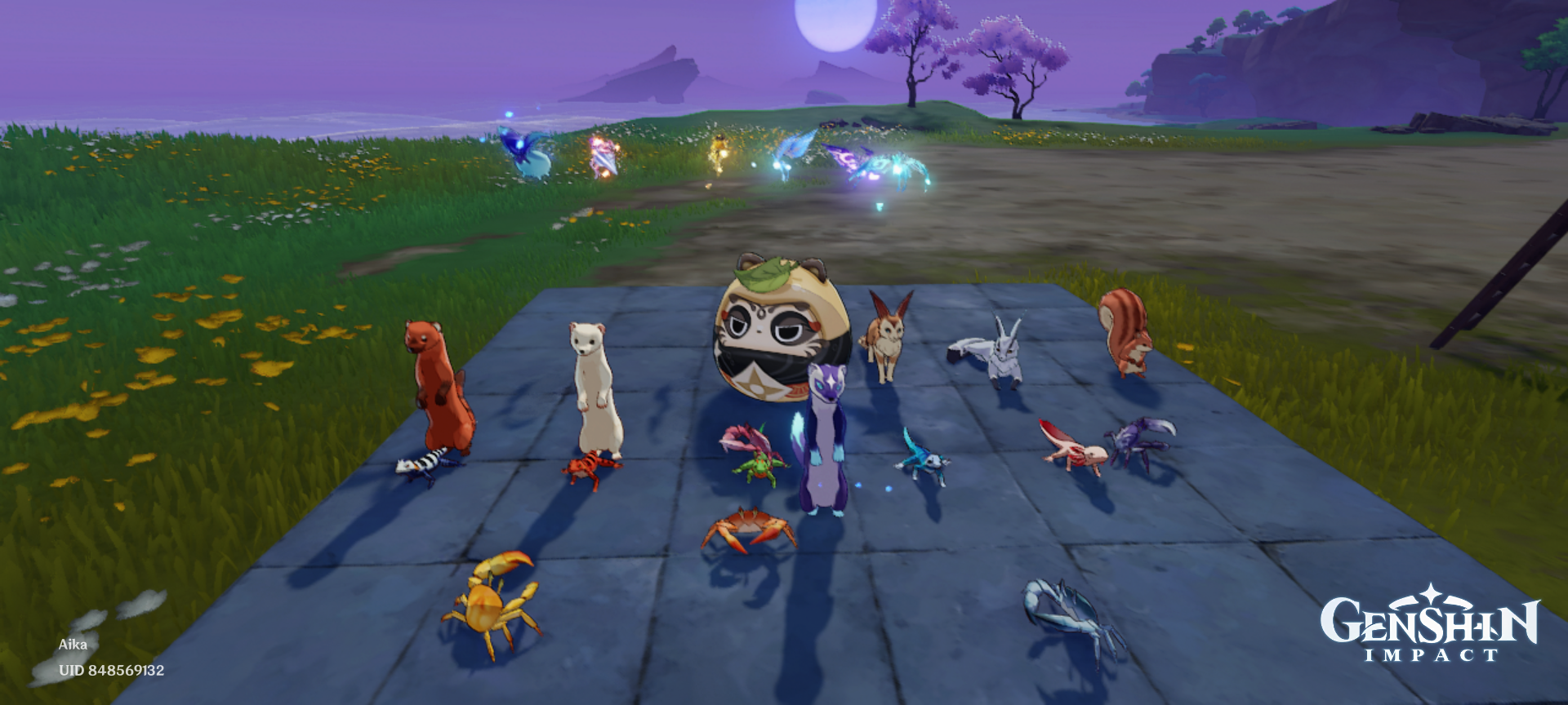 Waiting for Sumeru crystal fly Genshin Impact | HoYoLAB