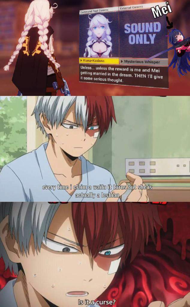 meme Honkai Impact 3rd | HoYoLAB