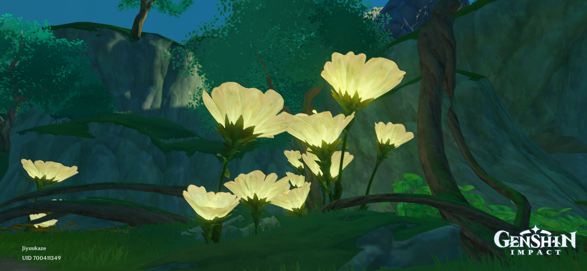Flora autóctona de Sumeru Genshin Impact | HoYoLAB