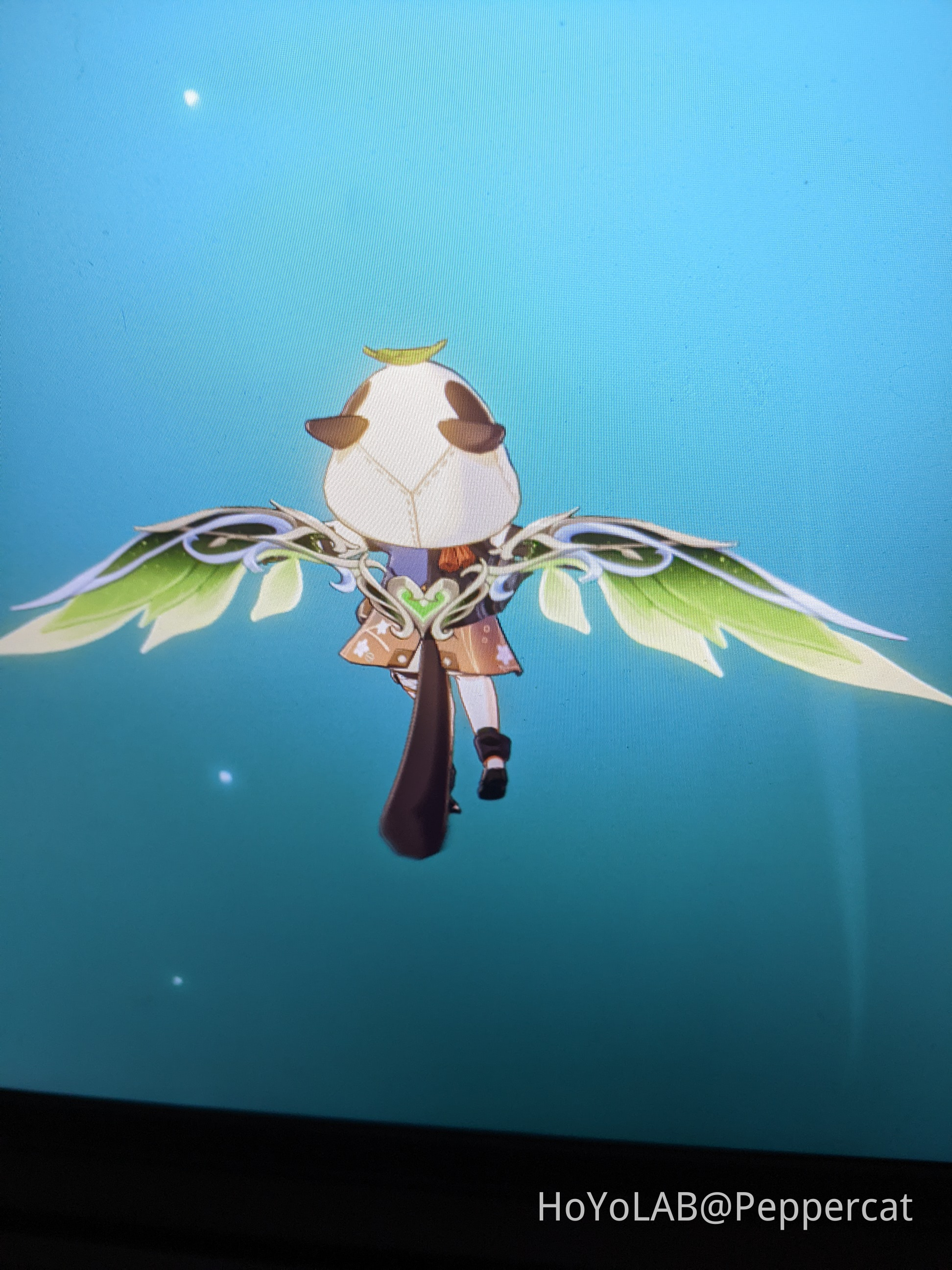 Sumerus wind glider Genshin Impact | HoYoLAB